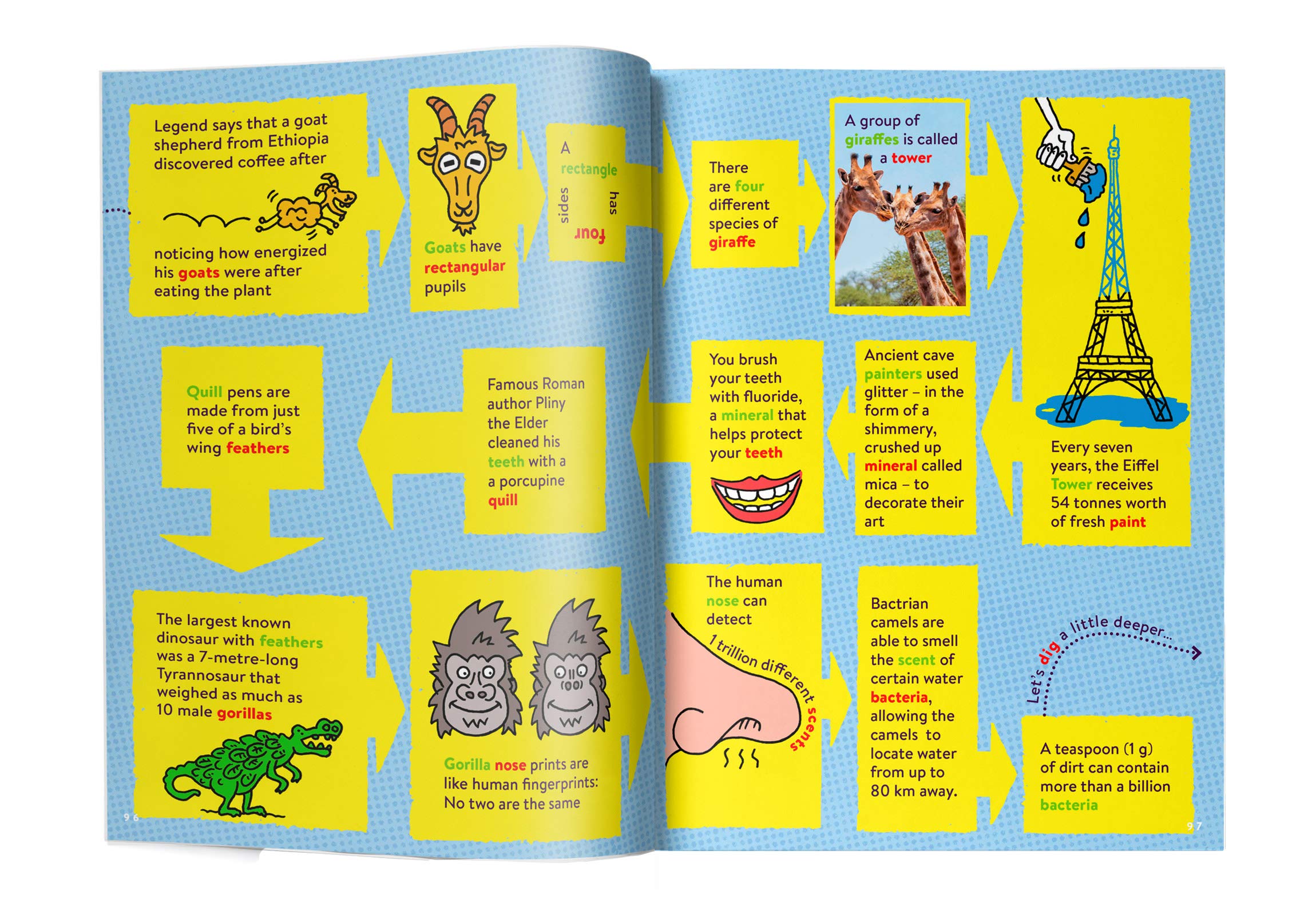 Factopia!: Follow the Trail of 400 Facts by Kate Hale & illustrated by ...
