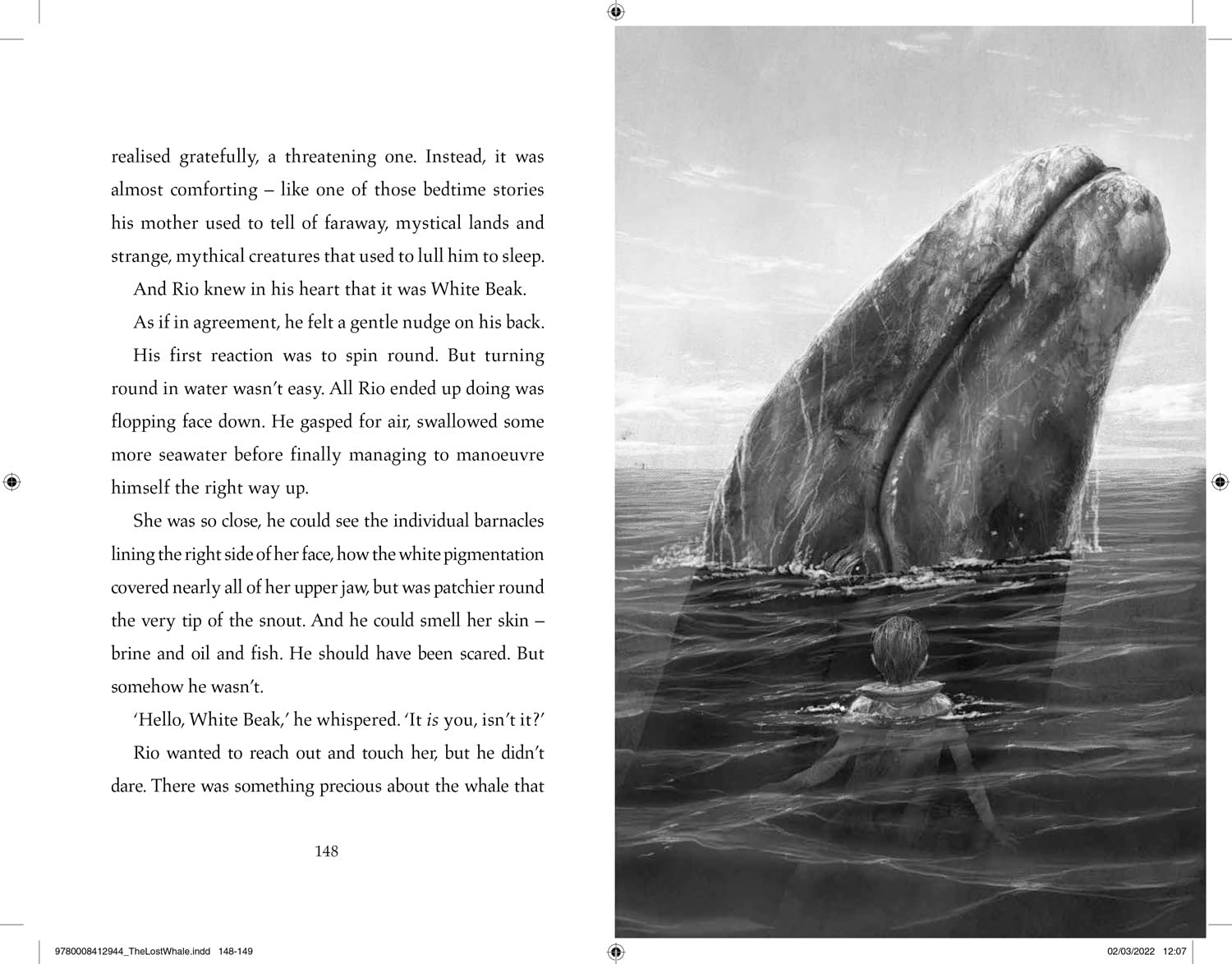 The Lost Whale by Hannah Gold & illustrated by Levi Pinfold – Scope for ...