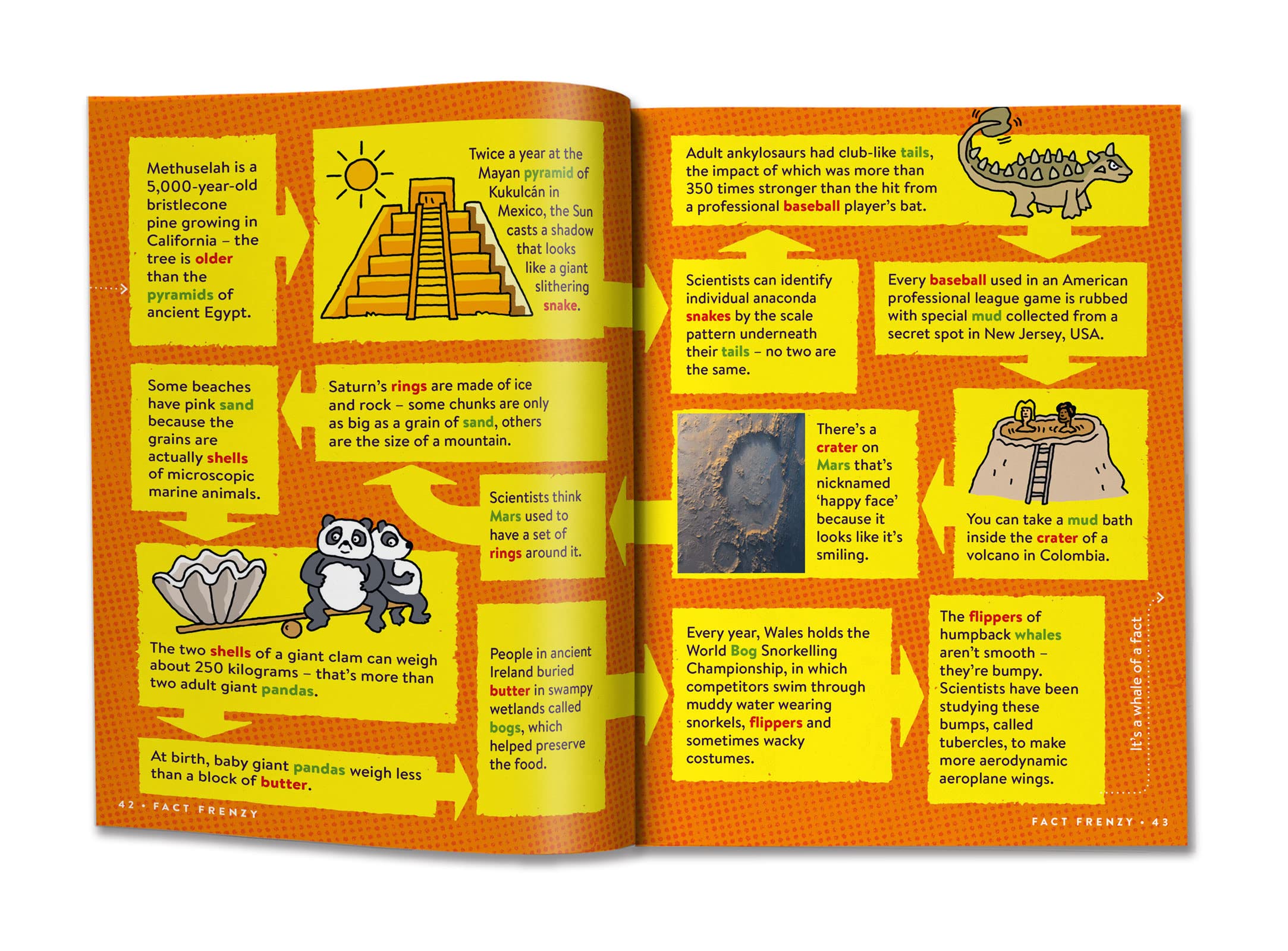 Return to FACTopia by Kate Hale & Andy Smith ~ Blog Tour – Scope for ...