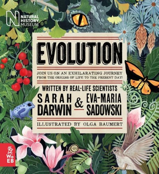 Evolution by Sarah Darwin & Eva-Maria Sadowski, illustrated by Olga ...